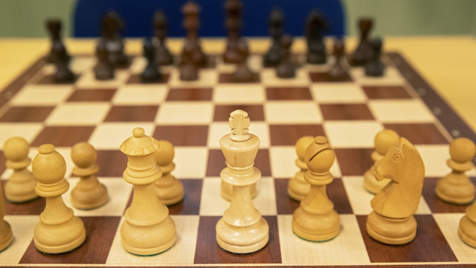 Schack i Parken - Under Solen